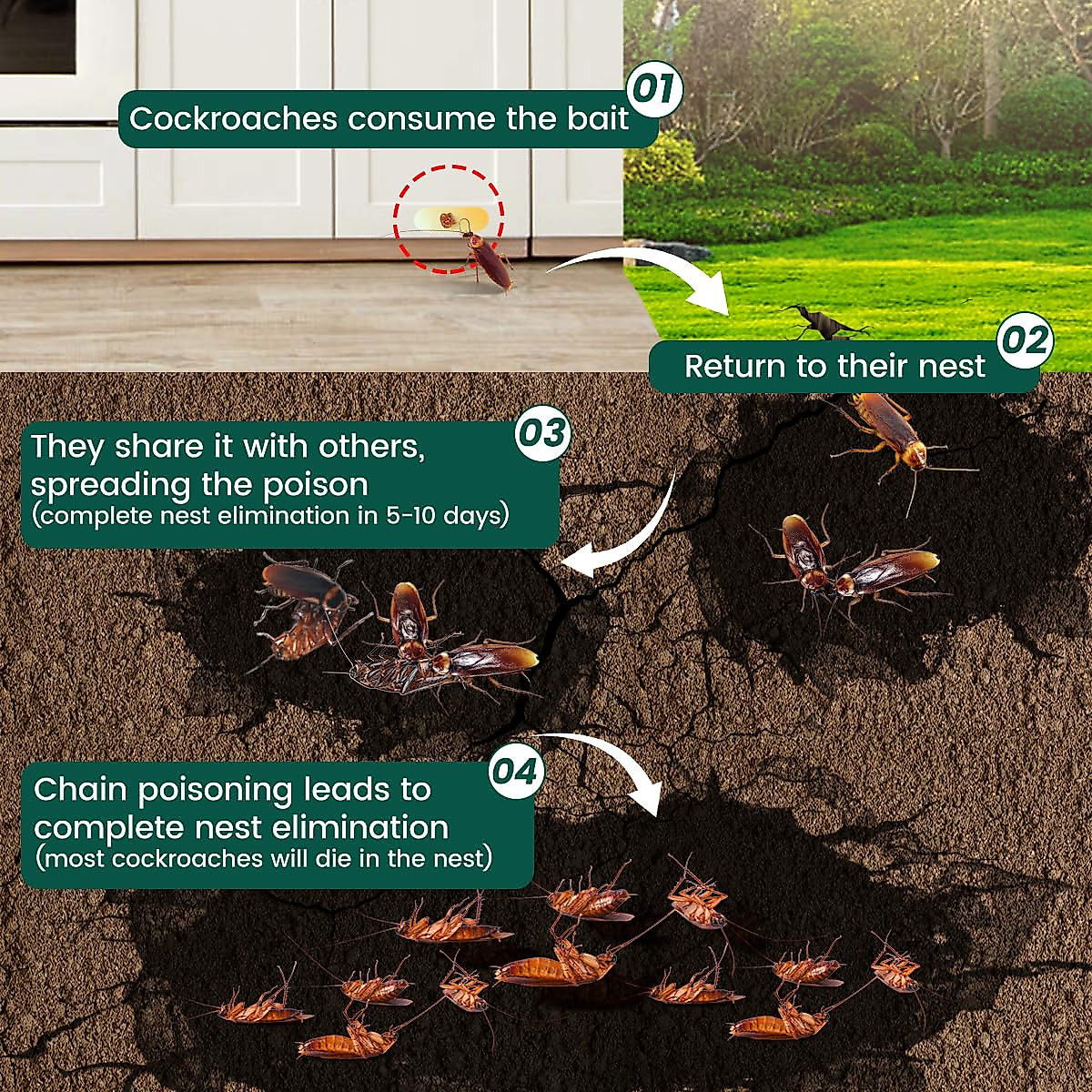 Roach Bait & Killer, 2 Pack Large Capacity Cockroach Gel Bait for Indoor Nest Elimination, Ready to Use, No-Mess Control Gel with Stickers, Ideal for Hidden Areas Household Pest Control(20g Each)