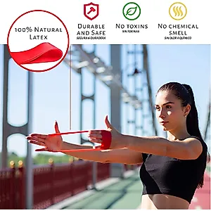 Limm Resistance Loop Exercise Bands - Set of 5 Stretch Bands for Working Out with Instruction Guide & Carry Bag - Elastic Band for Home Workout & Physical Therapy for Women and Men 12" x 2"