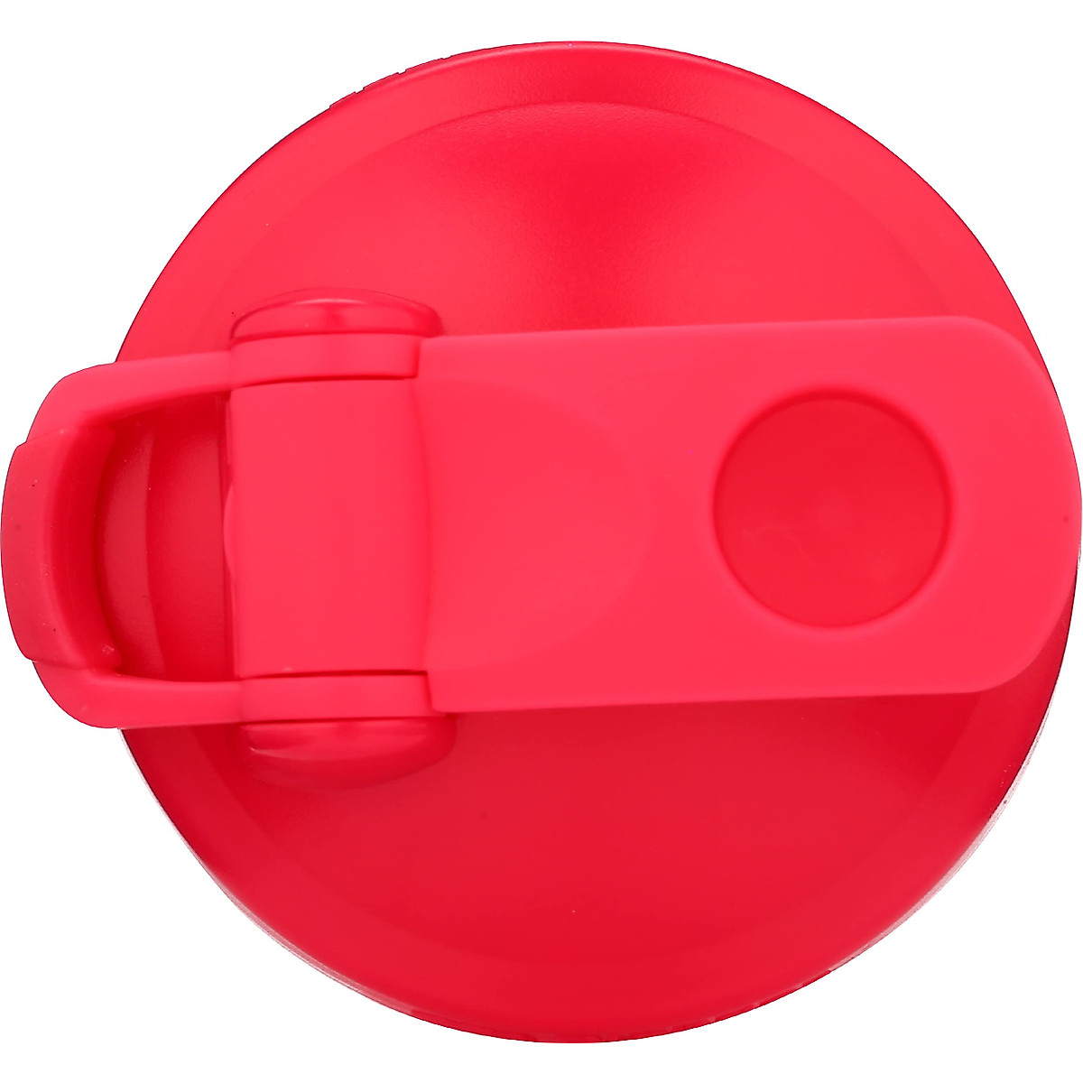 SUNDESA Classic Blender Bottle with Loop 28 Ounce, 1 EA