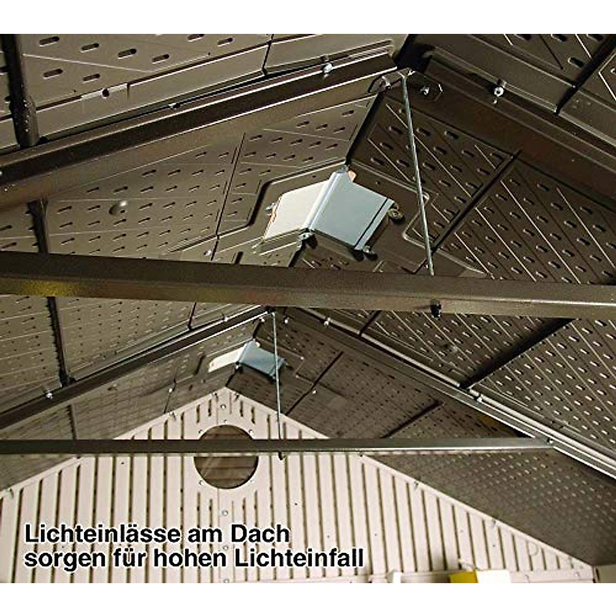 Lifetime 6405 Outdoor Storage Shed with Window, Skylights, and Shelving, 8 by 10 Feet