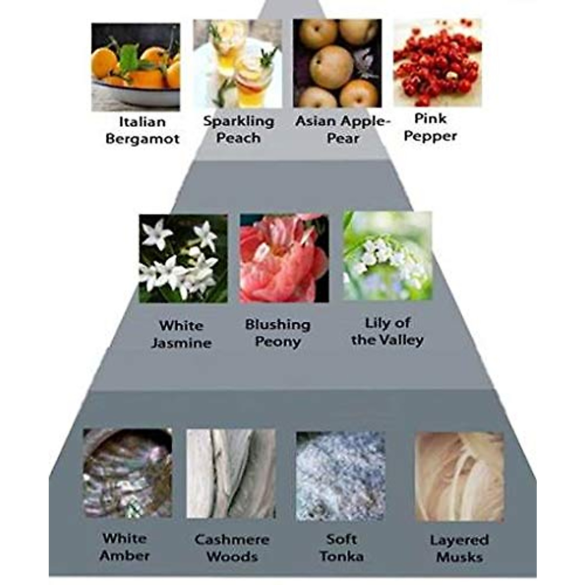 Perry Ellis 360 Coral Eau De Parfum Spray 6.8 Oz