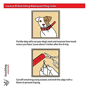 Dutch Dog Amaterdam Waterproof Dog Collar Van Gogh Cypress & Stars, 13-19", Blue, Green, Yellow