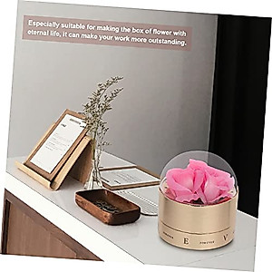 LALAFINA Box Packing Box Plastic to Go Containers Mini Chocolates Mini Cake Boxes Wedding Dome Cake Box Candy Buffet Containers Windowed Boxes Chocolate Box Unique Box Souvenir PC