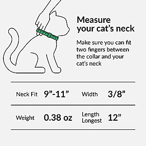 CollarDirect Leather Cat Collar with Bell - Kitten Collar, Small and Big Cat Collar for Boy Cats, Girl Cats with Safety Elastic Strap (Neck Fit 9"-11", Mint Green)