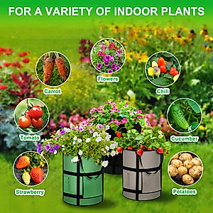 MEKOLIFE Grow Bags 6Pack - 10 Gallon Potato Grow Bags with Window to Harvest, Thickened Fabric Pots with Handles, Garden Bags to Grow Vegetables, Potatoes Tomato Chili Carrot