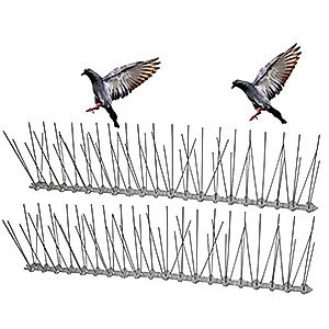 YARNOW 2pcs Birds Spikes Stainless Steel Cat Bird Deterrent Spike Anti- Climb Anti Theft Security Spikes for Pigeon Cat Bird Repellent Spikes (11cm)