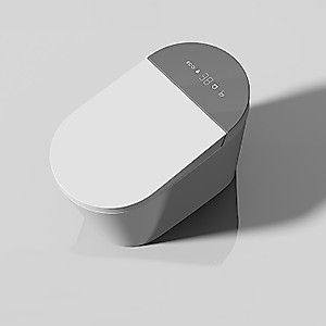 Quinitiles Smart Toilet,One Piece Bidet Toilet for Bathrooms,Modern Elongated Toilet with Warm Water,Heated Bidet Seat, Auto Smart Toilet with LED Display