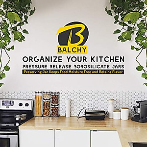 Balchy 5-Piece Canisters Sets with Silicone Seal Borosilicate Glass Jars Vacuum Seal for Tea Coffee Sugar Pop Flour Canister for Kitchen