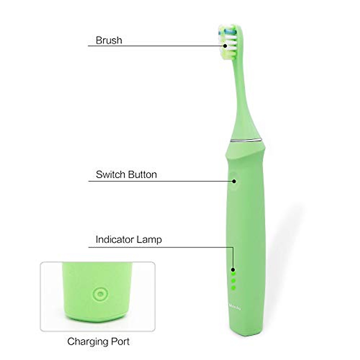 MICESHU Sonic Electronic Toothbrush for Adults, Cleaning with 3 Modes IP67 Waterproof Rechargeable Toohthbrush with 2pcs Replacement Dupont Brush Heads (Green)