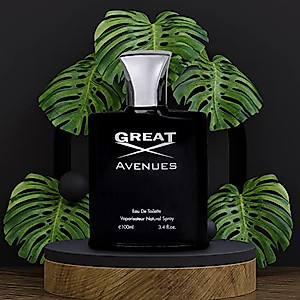 NovoGlow Great Avenues for Men - 100ml Eau De Parfum Spray for Men - Long Lasting Woody Fruity & Smoky Fragrance Smell Fresh All Day Long (B)