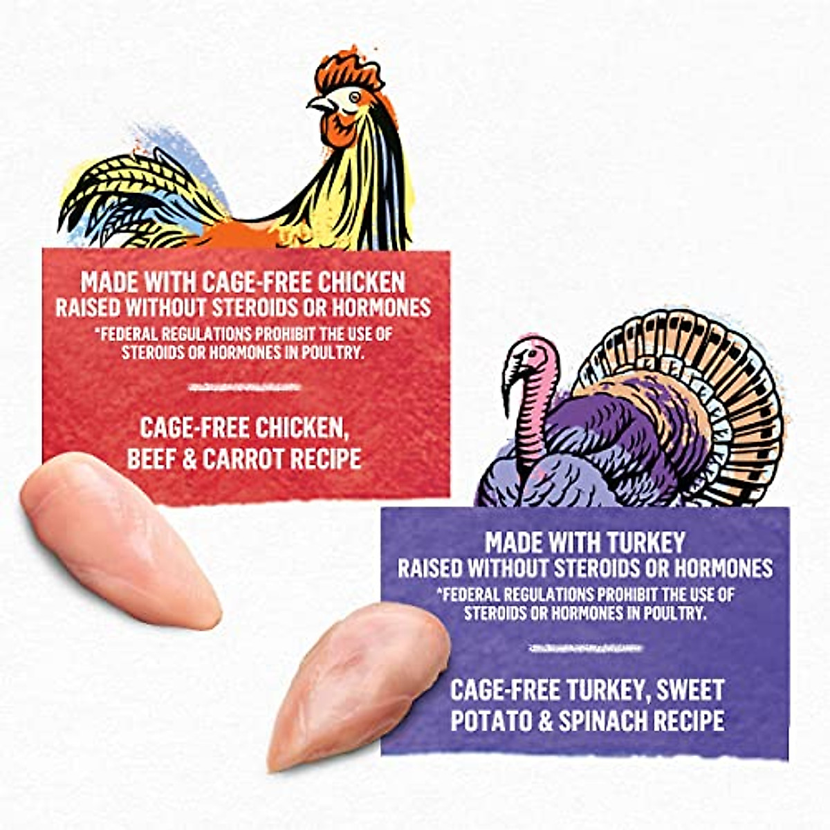 Purina Beyond Chicken, Beef and Carrot and Turkey, Sweet Potato and Spinach in Wet Cat Food Gravy 12 Ct Variety Pack - (2 Packs of 12) 3 oz. Cans