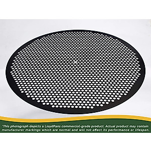 LloydPans Hex Disk, Pre-Seasoned PSTK (1, 14 inch)