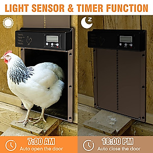 CODESFIR Automatic Chicken Coop Door Opener with Timer Remote Control Programmable Light Sensor, Battery Powered Auto Chicken Door with LCD Screen, Evening and Morning Delay, Aluminum Door