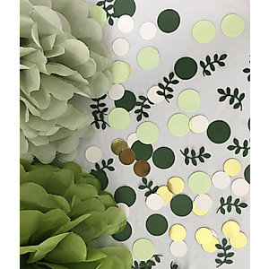 Sage Green hanging Party Decorations for Baby Bridal Shower Boho Wedding Birthday Supplies in Wall Decor with Tissue pom poms and Lanterns (Boho green)