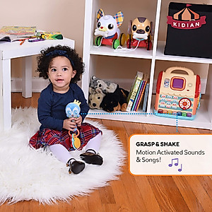 Kidian Baby Rattle - Shake and Jam Rattle - Baby Rattle and Teether Toy, Infant Rattle for 6 Months and Up by Flybar (Monkey)