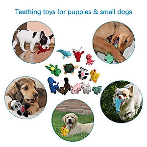 LEGEND SANDY Squeaky Plush Dog Toy Pack for Puppy, Small Stuffed Puppy Chew Toys 12 Dog Toys Bulk with Squeakers, Cute Soft Pet Toy for Small Medium Size Dogs