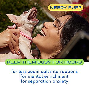 Native Pet Dog Calming Chews (60 Chews) & Yak Chews for Dogs (5 Small Chews)