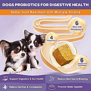Probiotics for Dogs Soft Chews and Freeze Dried