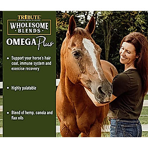 Wholesome Blends Omega Plus Oil Supplement for Horses, 1 Gallon