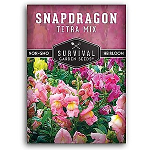 Survival Garden Seeds - Snapdragon Tetra Mix Seed for Planting - Packet with Instructions to Plant and Grow Beautiful Colorful Flowers in Your Home Vegetable Garden - Non-GMO Heirloom Variety