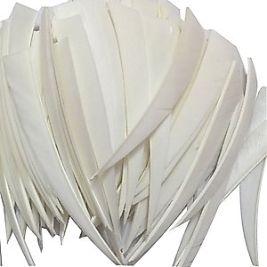 JIEXI HWYP Archery Fletches 5" Turkey Feather Shielded Shape Pack of 100 (White, Left Wing)