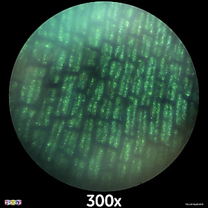 Play22 Kids Microscope Kit 50 PCS - Science Kit for Kids 120X-1200X Microscope Slides, Metal Body Microscope, Carrying Box, Science Experiments Lab Toy Gifts