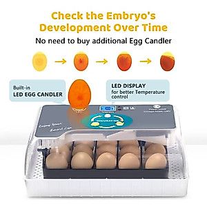 Apdoe Egg Incubator Clear View, Automatic Egg Turner, Temperature Humidity Control, Egg Candler, Poultry Egg Incubator for Hatching 12-15 Chicken Eggs, 35 Quail Eggs, 9 Duck Eggs, Turkey Goose Birds
