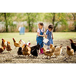 Hana Panda 100% Natural Dried mealworms High Protein Mealworms for Wild Birds, Chicken Treats, Fish & Reptiles,Hamsters and Hedgehogs All Natural Animal Feed