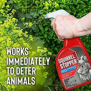 Messina Wildlife Squirrel Stopper - Effective, Food Grade Ingredients; Squirrels and Chipmunks; Ready to Use, 1 Gallon Liquid Refill Bottle
