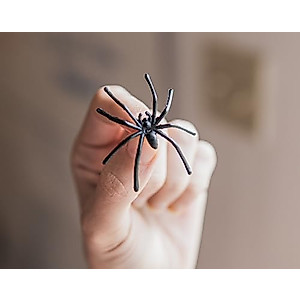 Happy Hippo Halloween Spider Web Decoration, 200 Sqare Feet & Plastic Spiders, Halloween Party Supplies, Spider Webs (Small, 200 Sq Feet)