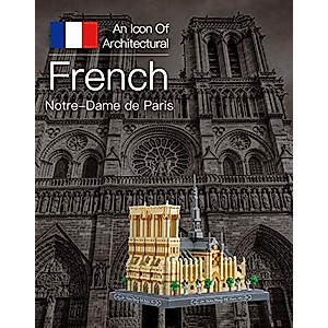 NeoLeo Micro Block Architecture Model Notre Dame de Paris French, Challenge for Adults Children, Cathedral Architecture Church Building Model Kits, 4018 Pieces
