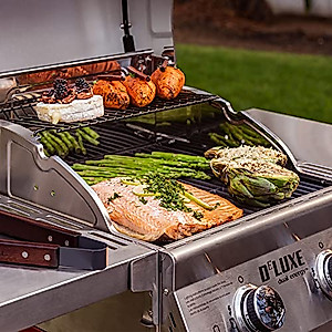 Nexgrill Deluxe 2-Burner Propane Barbecue Gas Grill with Warming Rack, 401 sq. in, 28000 BTUs, Outdoor Cooking, Patio, Barbecue Grill, Foldable Side Table, with Full stainless Steel Control Panel, Red