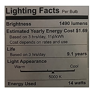 GE Garage Light 100-Watt EQ A19 Daylight LED Light Bulb (2-Pack)