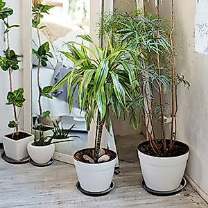 16 Pieces Plant Dish Plastic Plant Tray Round Thick Plant Pot Saucers Sturdy Flower Pot Saucer Black Drip Trays for Plants for Indoor and Outdoor Plants Home Garden (11.8 Inches in Top Size)