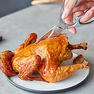 Multipurpose Kitchen Shears by WELLSTAR, Come Apart Heavy Duty German Stainless Steel Food Scissors for Cutting Meat Poultry Chicken Vegetable, Plus Handy Onion Slicing Holder, Gift Box Pack