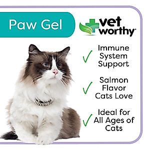 Vet Worthy Lysine Paw Gel Aid for Cats - Cat Paw Gel to Support The Immune System and Overall Health - Cat Supplement with Amino Acid L-Lysine- Salmon Flavor Gel, 3oz