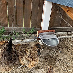 MODUODUO Automatic Waterer Horse Dog Water Bowl Kit Cattle Trough Livestock Pet Auto Watering Dispenser with Drainage Hole