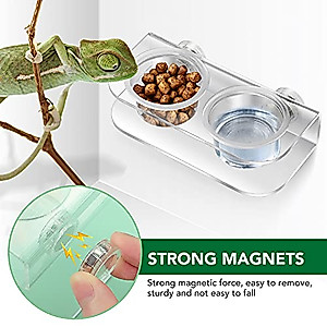 POPETPOP Magnetic Reptile Ledge - Reptile Food Dish Crested Gecko Feeding Ledge with 10PCS Feeding Cups Reptile Water Bowl Reptile Feeding Dish for Spider Lizard Snake