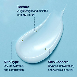 Torriden DIVE IN Cream 80ml (2.71 fl. oz.) | Facial Moisturizer for Sensitive, Oily Skin | Lightweight and Moistrul Creamy Texture | Hyaluronic Acid Cream, Allantoin