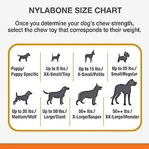 Nylabone Rubber Camo Bone Strong Chew Dog Toy Duck Medium/Wolf (1 Count)