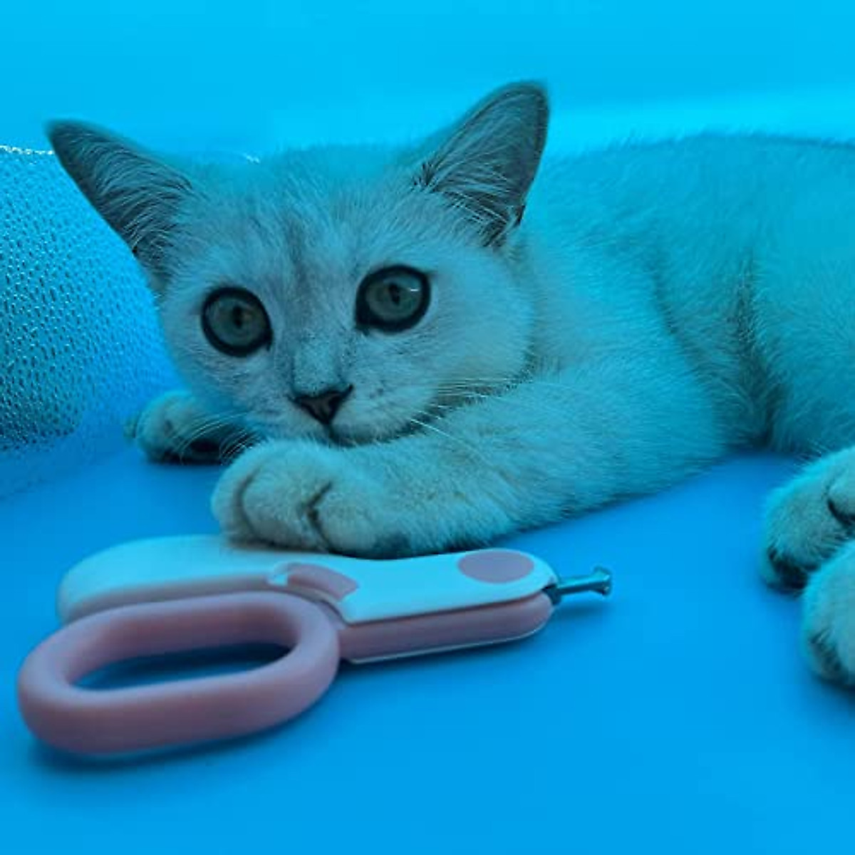 Small Animals Nail Clippers with LED Lights to Avoid Excessive Cutting and Razor Sharp Blades - Professional Claw Trimmer for Tiny Dog Cat Kitten Bunny Rabbit Bird Guinea Pigs Ferret Hamsters (Blue)