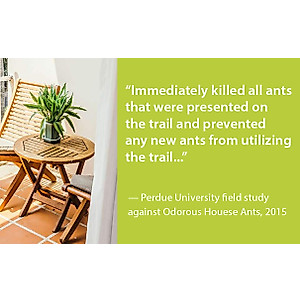 EcoVenger Ant Killer & Crawling Insect Killer (Citrus Scent) 16 oz x2, Kills Fast in Minutes, Also Kills Spiders, Centipedes & More, Repels with Residual, Natural & Non-Toxic, Safe for Children & Pets