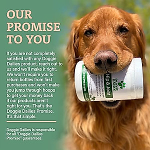 Doggie Dailies Glucosamine for Dogs - 225 Chews - Joint Supplement for Dogs of All Breeds & Sizes - Hip and Joint Supplement for Dogs - Premium Glucosamine and Chondroitin for Dogs (Peanut Butter)