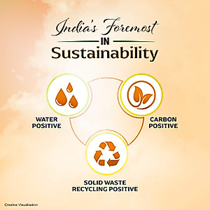 Kitchens of India Punjabi Tikka Masala, Creamy Tomato Cooking Sauce, Easy to Use Sauce for Authentic Indian Food, Gluten-Free, 7.02 Ounces (Pack of 6)