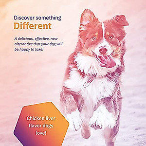 MOVOFLEX Joint Support Soft Chews for Small Dogs (60 Count) | Veterinarian Formulated, Gluten-Free