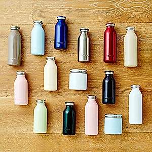 Mosh! DMMB450SV Vacuum Insulated Screw Type Mug Bottle 0.1 gal (0.45 L) Silver