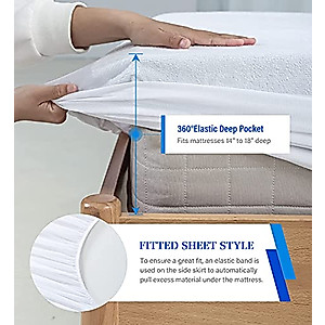 Queen Mattress Protector Noiseless,Mattressprotector Queen,Waterproof Mattress Cover Soft Breathable Cotton Terry for Pets Kids Adults 60" x 80"