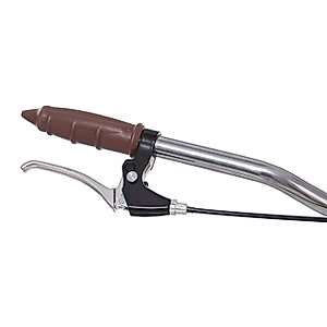 Schwinn Meridian Adult Tricycle Bike, Mens and Womens Three Wheel Beach Cruiser, 26-Inch Wheels, Low Step-Through Frame, Wide Seat, Rear Folding Basket, 1-Speed, Green