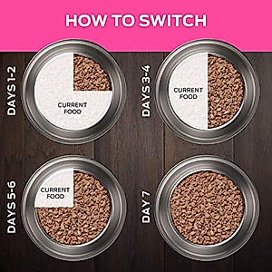 Purina Pro Plan Veterinary Diets UR Urinary Ox/St Canine Formula Wet Dog Food - (Pack of 12) 13.3 oz. Cans