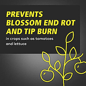 General Hydroponics CALiMAGic 1-0-0, Calcium-Magnesium Supplement, 1-Quart